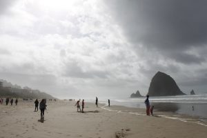 Agate Hunting 101: A Beach Guide to Finding Oregon's Best Hidden Gemstones