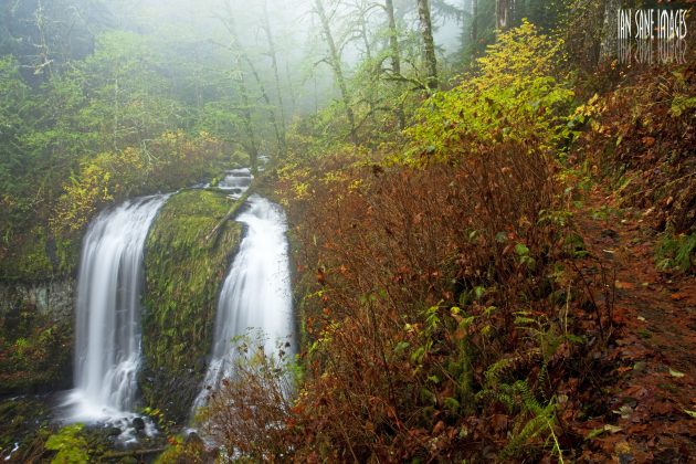 23 Must See Waterfall Hikes Oregon You Can't Miss in 2023