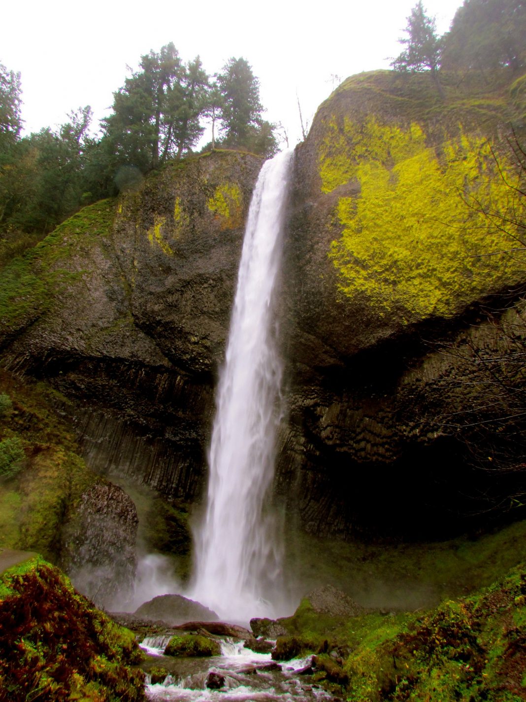 23 Must See Waterfall Hikes Oregon You Can't Miss in 2023