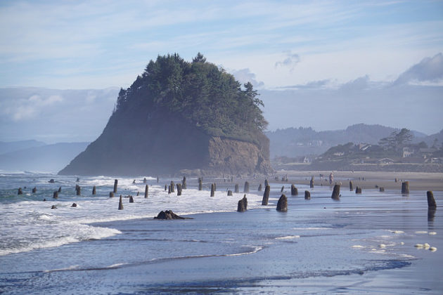 The Neskowin Ghost Forest of Oregon is Incredible