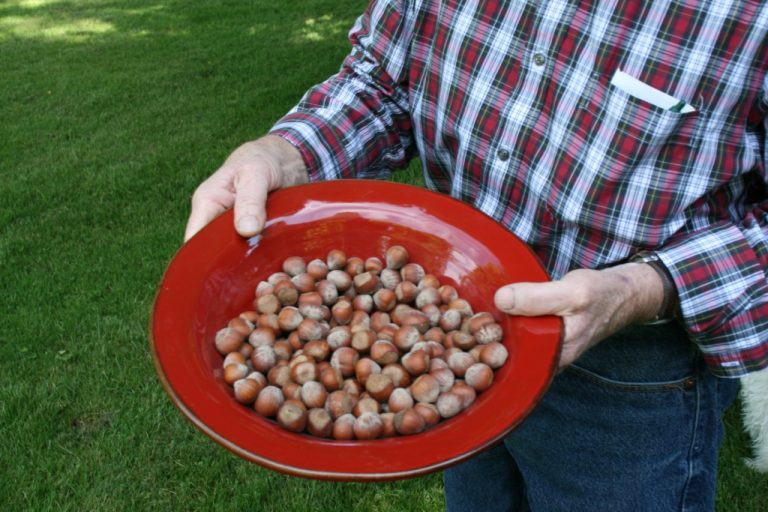 Here's 40 Fun Facts You May Not Know About Oregon