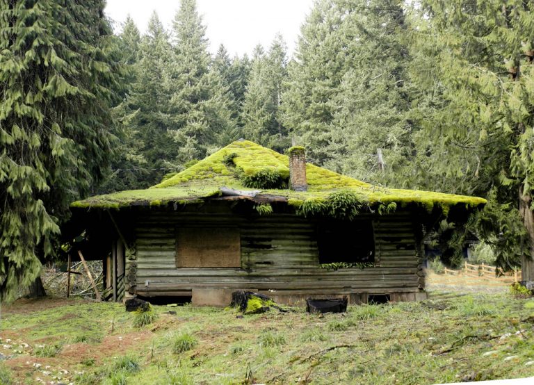 26 Old Abandoned Buildings in Oregon That'll Amaze You | That Oregon Life
