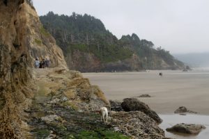 Hug Point on the Oregon Coast: The Only Guide You'll Need