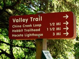 Follow the Mystical Hobbit Trail Leading to a Secluded Oregon Beach