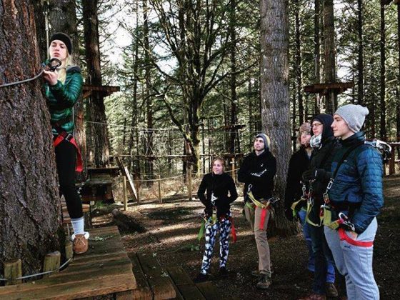 Add Tree To Tree Adventure Park in Oregon To Your Bucket List