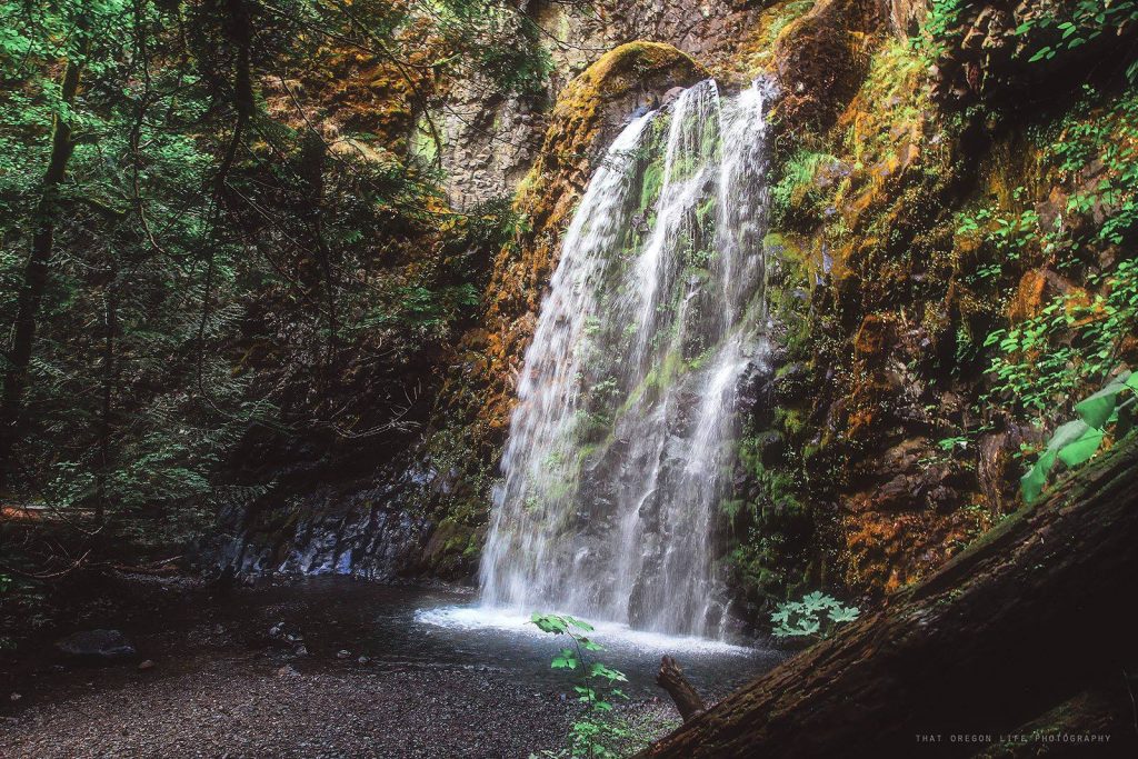 37 Jaw Dropping Oregon Trails to Hike In 2022