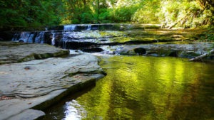 Sweet Creek Falls is One Of Oregon's Most Stunning Coast Hikes