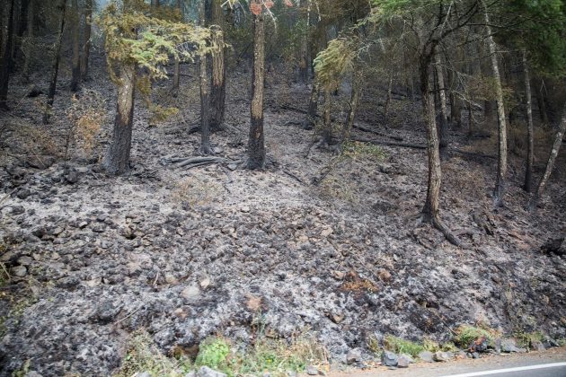 Aftermath Photos of Multnomah Falls Fire in Columbia River Gorge