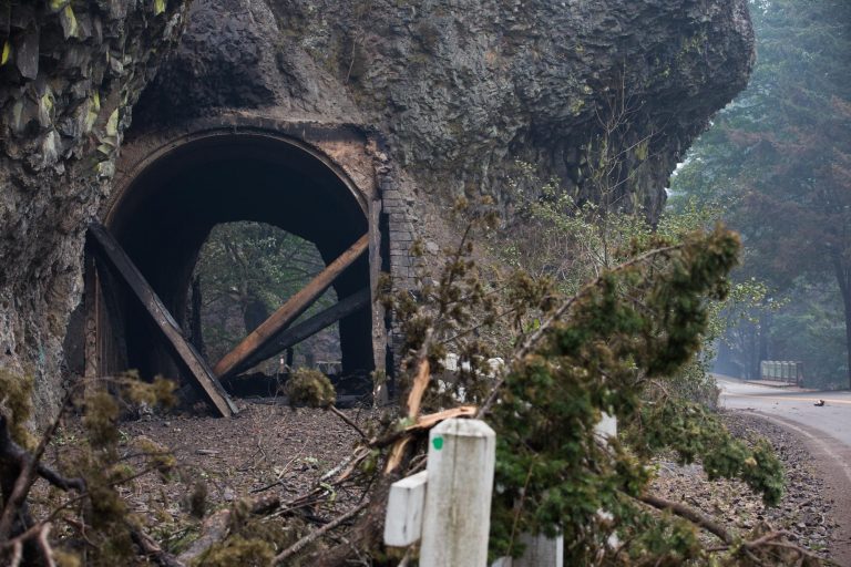 Aftermath Photos of Multnomah Falls Fire in Columbia River Gorge