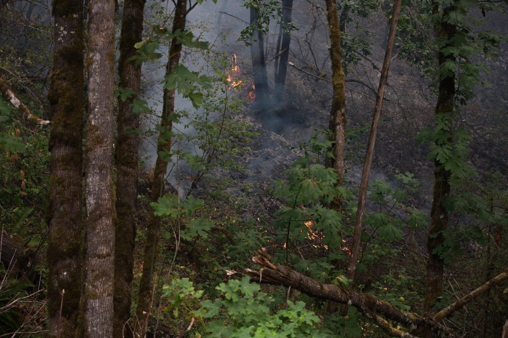 Aftermath Photos of Multnomah Falls Fire in Columbia River Gorge