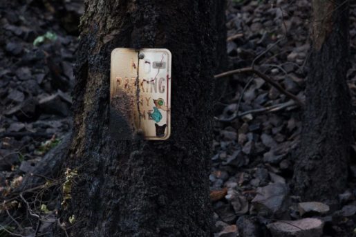 Aftermath Photos of Multnomah Falls Fire in Columbia River Gorge