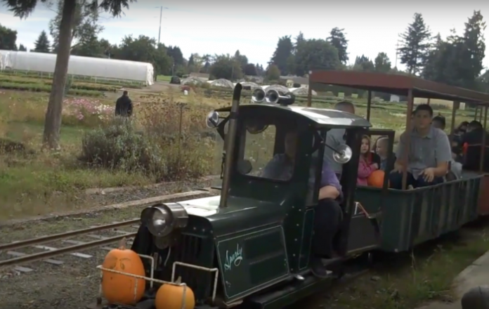 Boo! The Fall Pumpkin Patch Train Ride in Oregon You Must Do