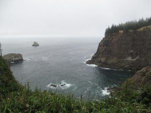 Oregon's Octopus Tree is a Modern Wonder of the World