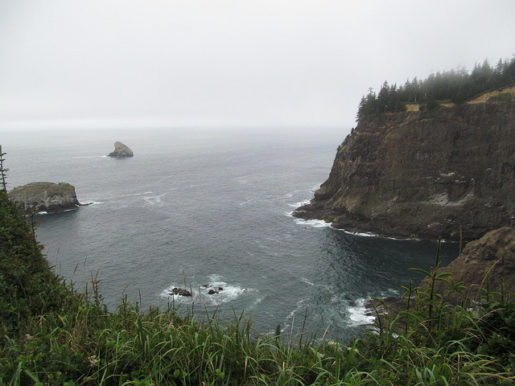 Oregon's Octopus Tree is a Modern Wonder of the World
