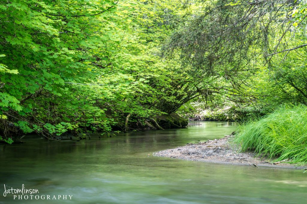 11 Trails That Make For Perfect Rainy Day Hikes in Oregon
