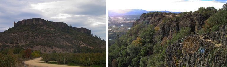 11 Hikes in Oregon Perfect for Rainy Days