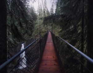 Your Exquisite Oregon Wine And Waterfalls Day Trip Starts Here