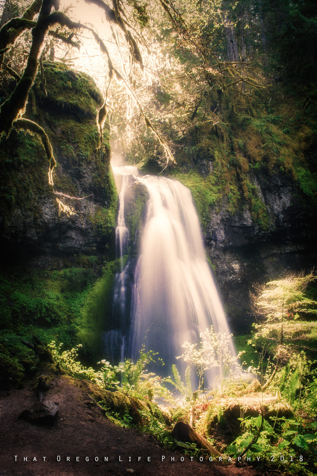 Your Exquisite Oregon Wine And Waterfalls Day Trip Starts Here