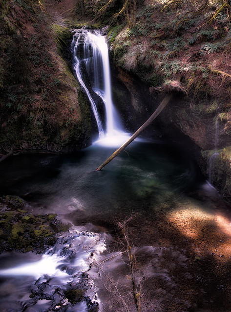 Butte Creek Falls In Oregon Makes For The Perfect Spring Hike