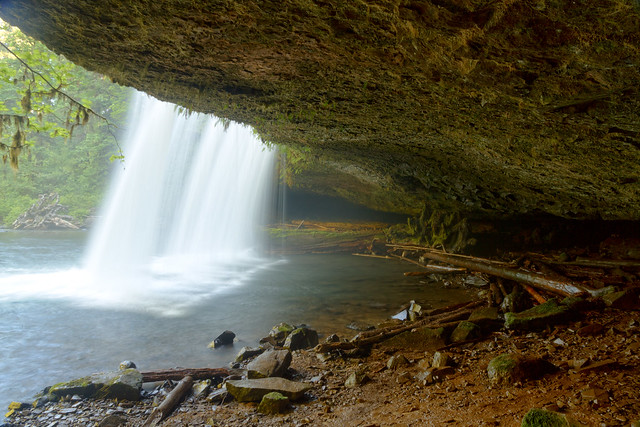 Butte Creek Falls In Oregon Makes For The Perfect Spring Hike