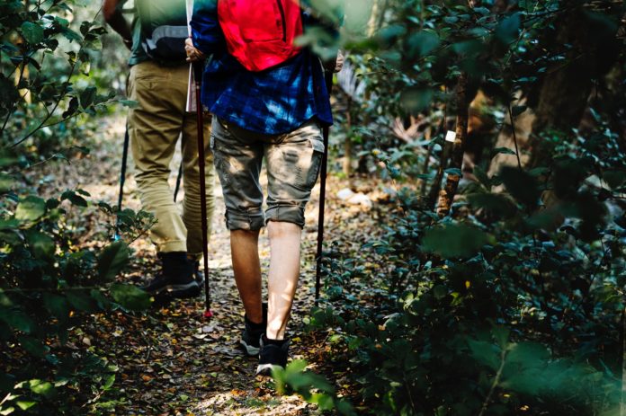 Everything You Never Wanted To Know About Ticks In Oregon