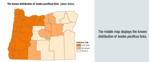 Everything You Never Wanted To Know About Ticks In Oregon