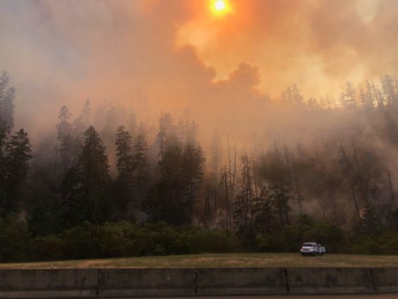 Milepost 97 Fire near Canyonville swells to 1,650 acres, evacuations