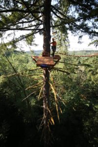 The Pumpkin Ridge Zip Tour in Oregon Features Gorgeous Fall Colors