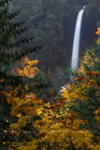 Relax With These 20 Amazing Shots Of Fall Colors In Oregon