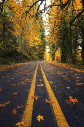 Relax With These 20 Amazing Shots Of Fall Colors In Oregon