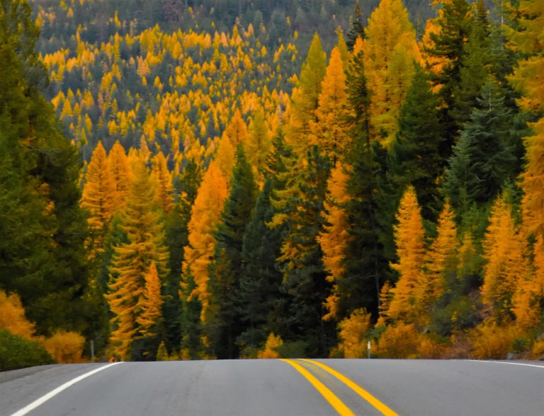 Explore Fall In Oregon: 12 Places To See Gorgeous Fall Colors