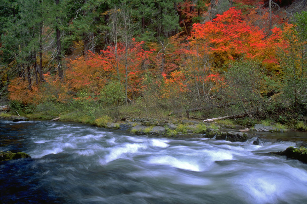 Explore Fall In Oregon: 12 Places To See Gorgeous Fall Colors