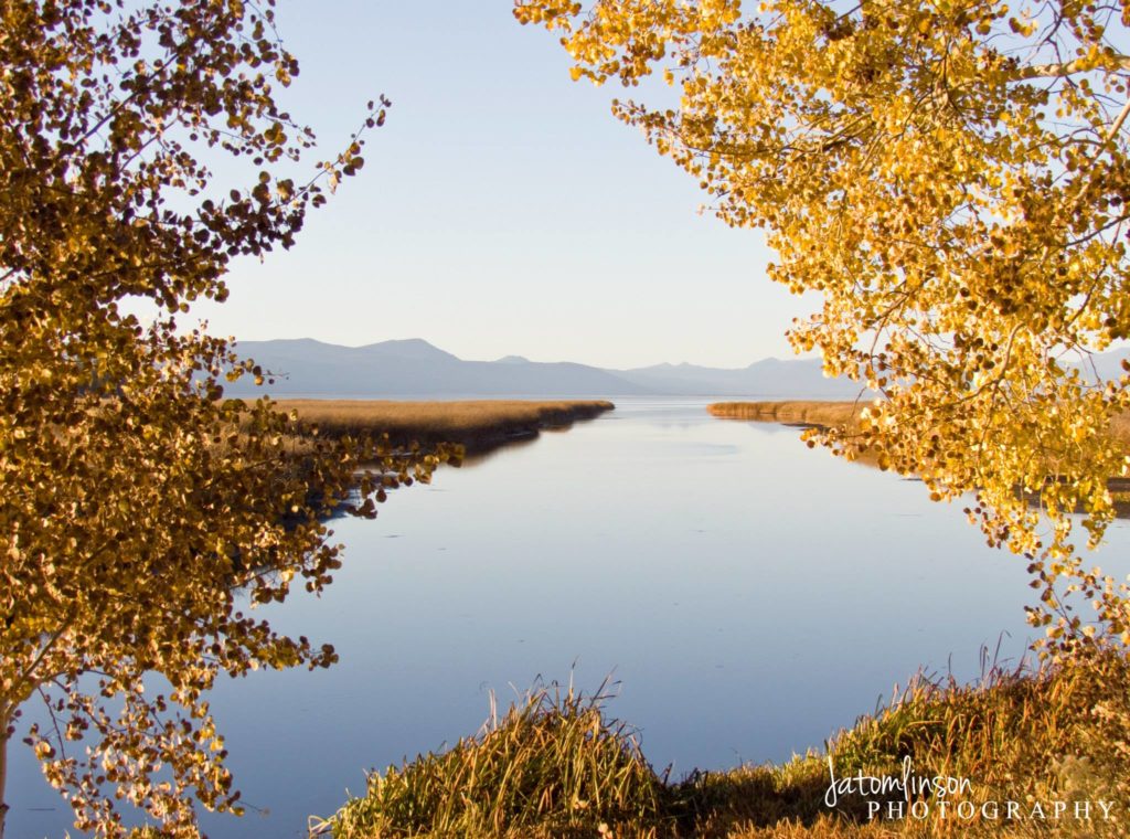 Relax With These 20 Amazing Shots Of Fall Colors In Oregon