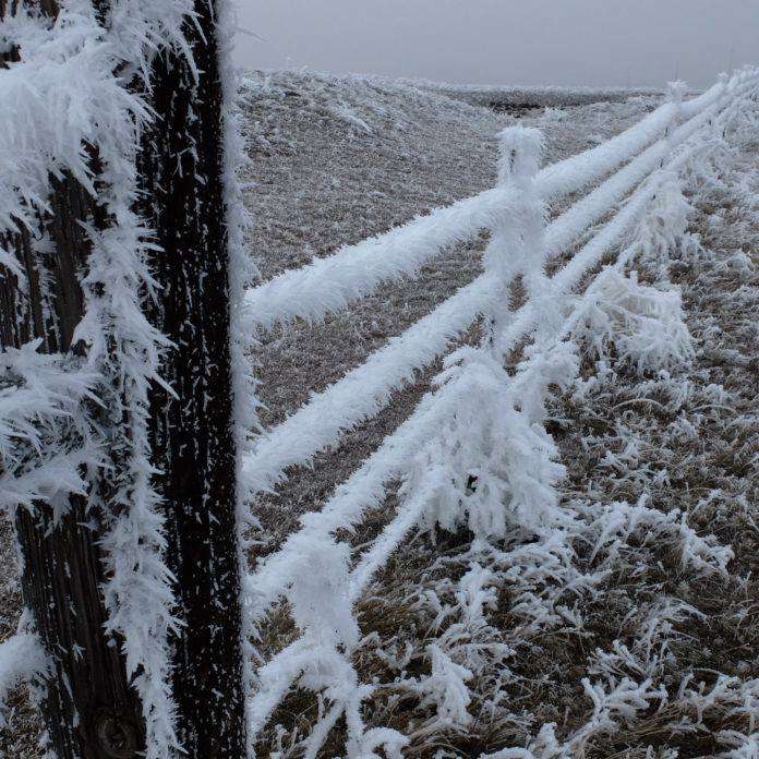 10 Unique Photos That Show Oregon Frozen Over