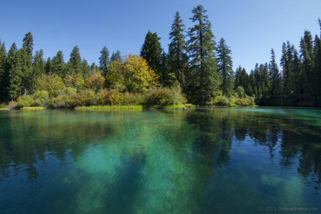 Clear Lake In Oregon: Cabins, Fishing, Hiking & More