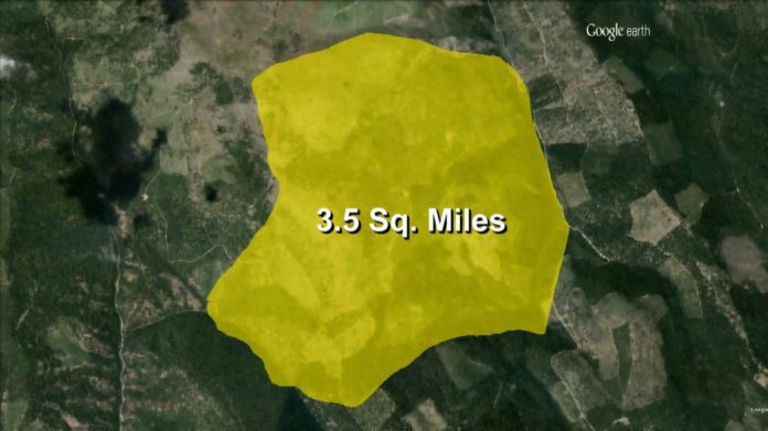 The Largest Organism on the Planet Is Right Here in Oregon