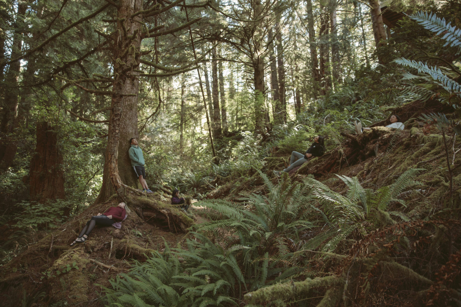 Salishan Coastal Lodge in Oregon Earns One of Best Resorts in the Country