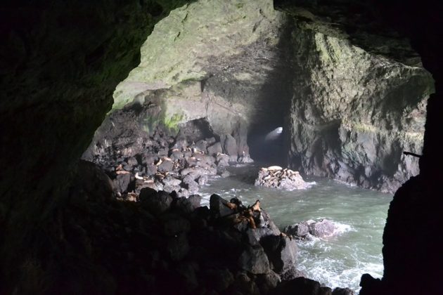 Guide To Caves In Oregon (And Awesome Lava Tubes) 2026
