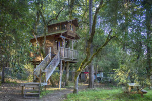 Sleep Overnight In Oregon's Finest Treehouse Resort