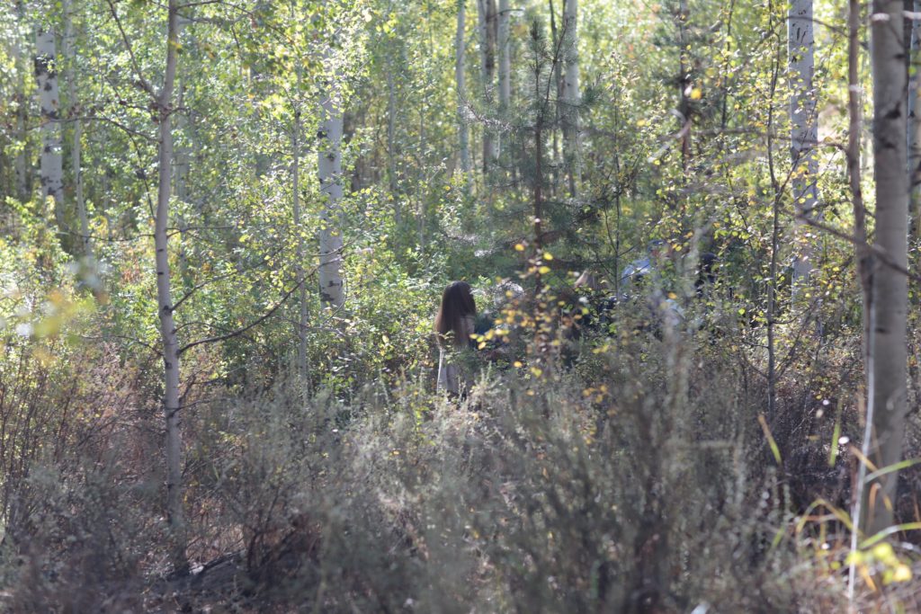 Shevlin Park Is The Perfect Spot In Bend To Relax And Soak Up Nature