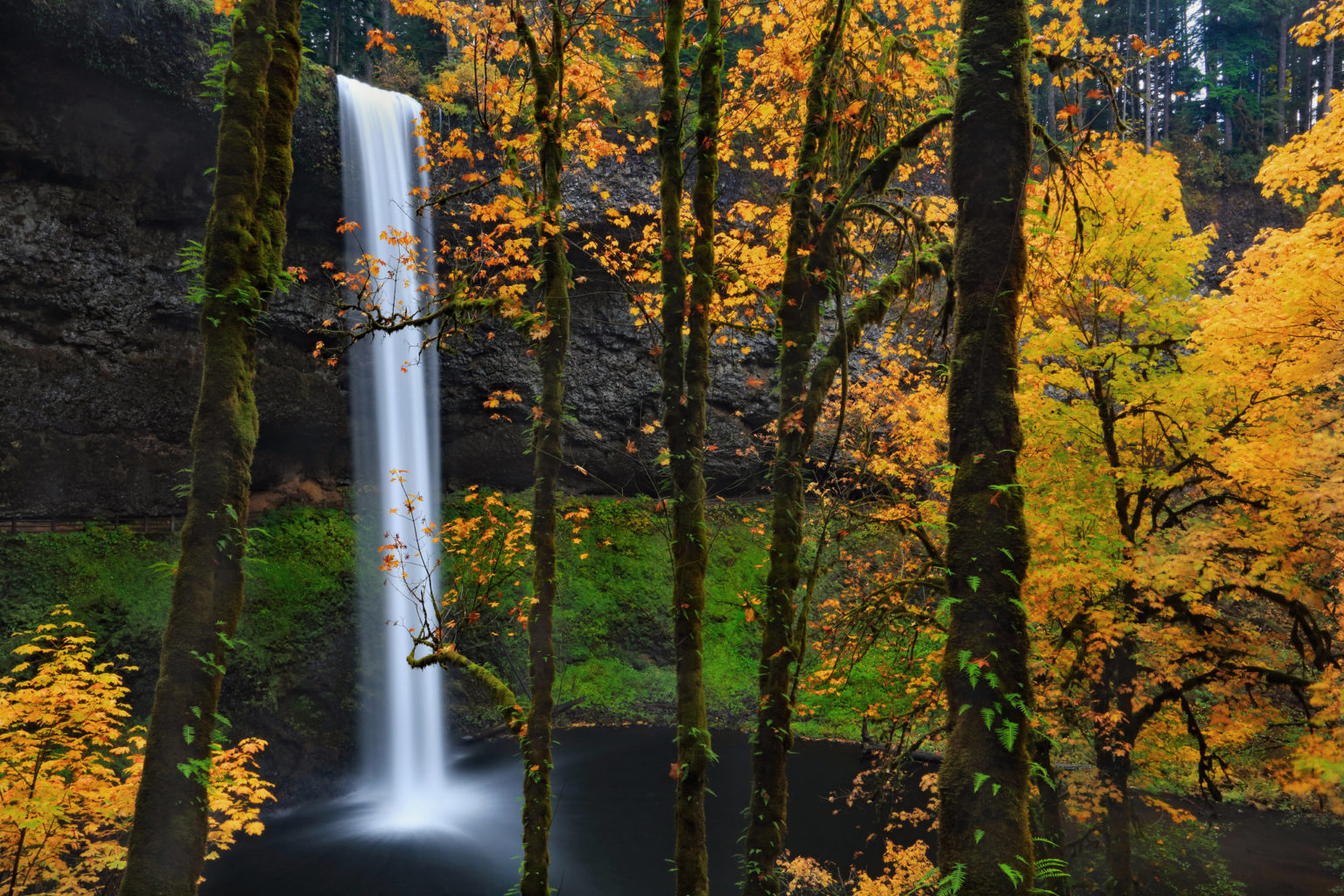 Four Breathtaking Fall Hikes to Take in Oregon