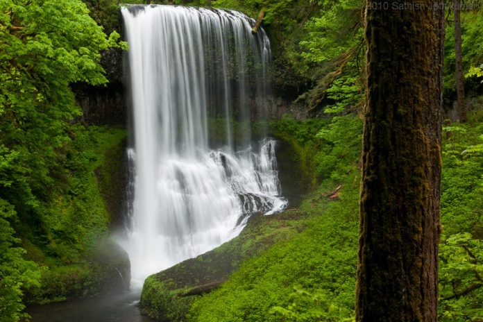 We Found the Coziest Cabins in Oregon and They’re Inside a Waterfall ...