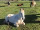 Saddle Up For This Awesome Horseback Ride On The Beach In Oregon