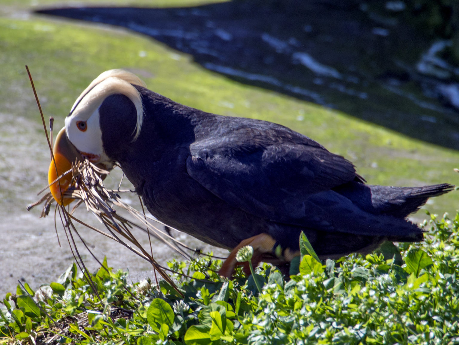 Oregon Coast Aquarium Recognized by Newsweek Among Best in the U.S.
