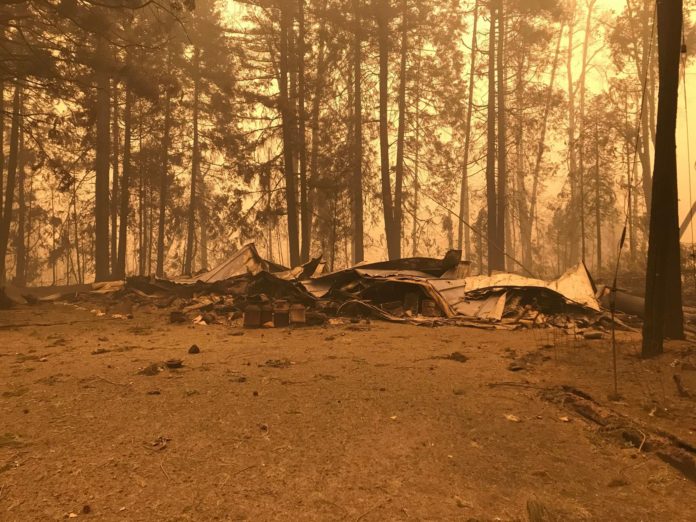 Owners of Vida Cafe and Family of 8 Lose Their Home to Holiday Farm Fire