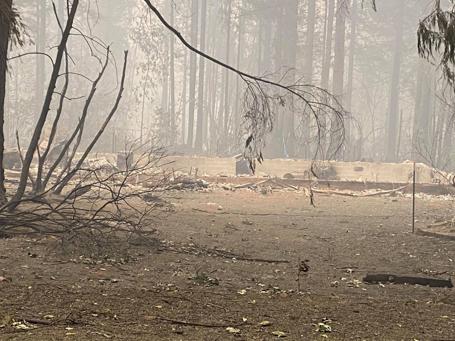 Owners of Vida Cafe and Family of 8 Lose Their Home to Holiday Farm Fire