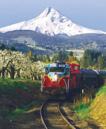 You Will Love The Breathtaking Fall Foliage On This Oregon Train Ride