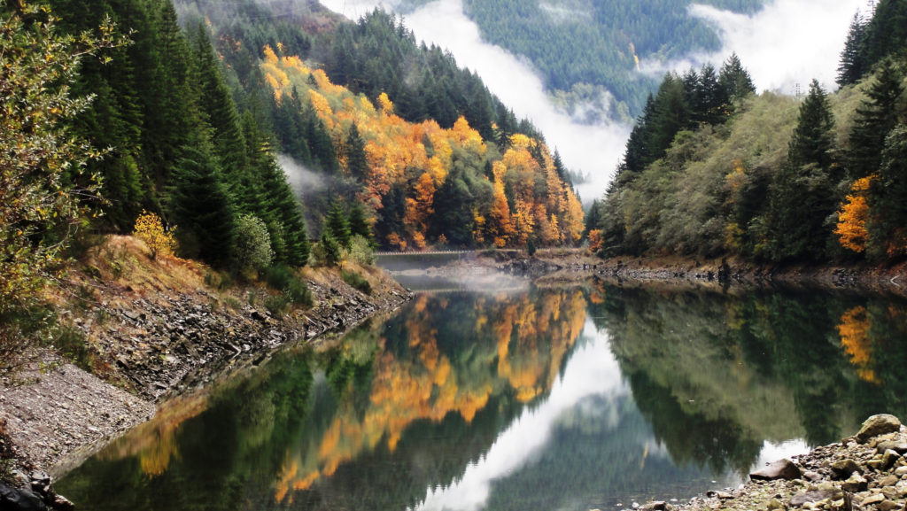 14 Photos Of Oregon's Extreme Autumn Beauty