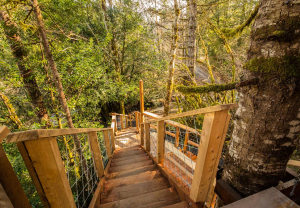 Stay Overnight At This Gorgeous Treehouse In Oregon