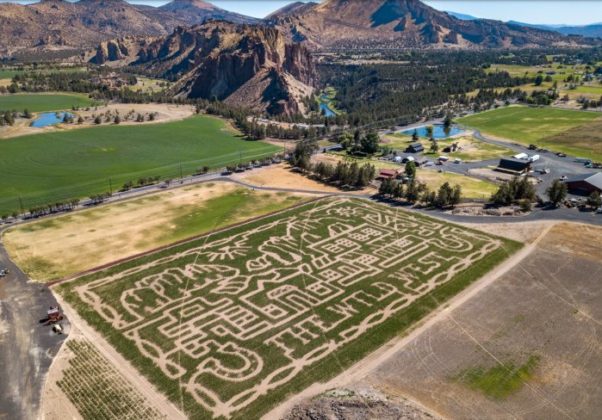 Get Lost In Oregon's Ultimate Corn Maze Journey At This Popular